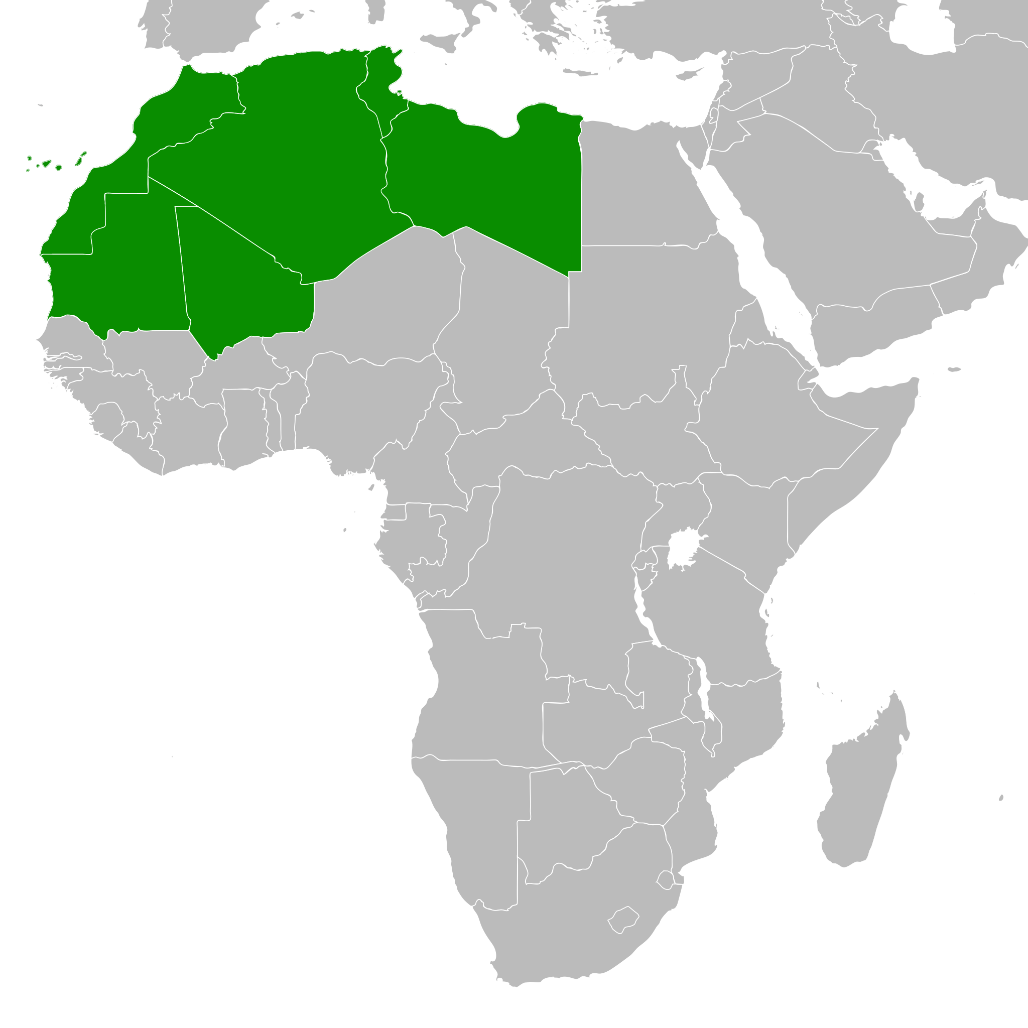 Why North Africans Refuse to Be Called Arab.